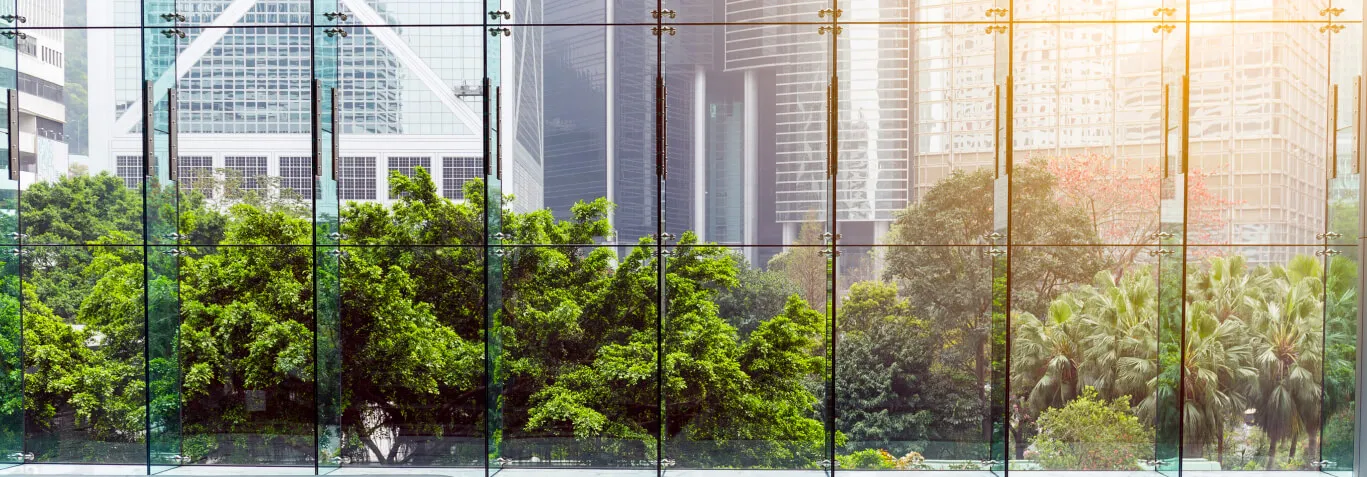 Panoramic Glass Walls for Modern SA Homes